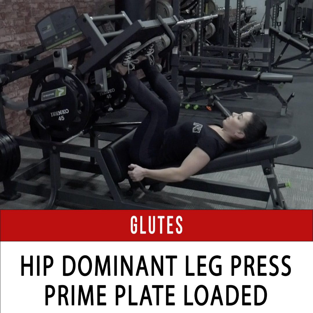 Quadriceps - N1 Training