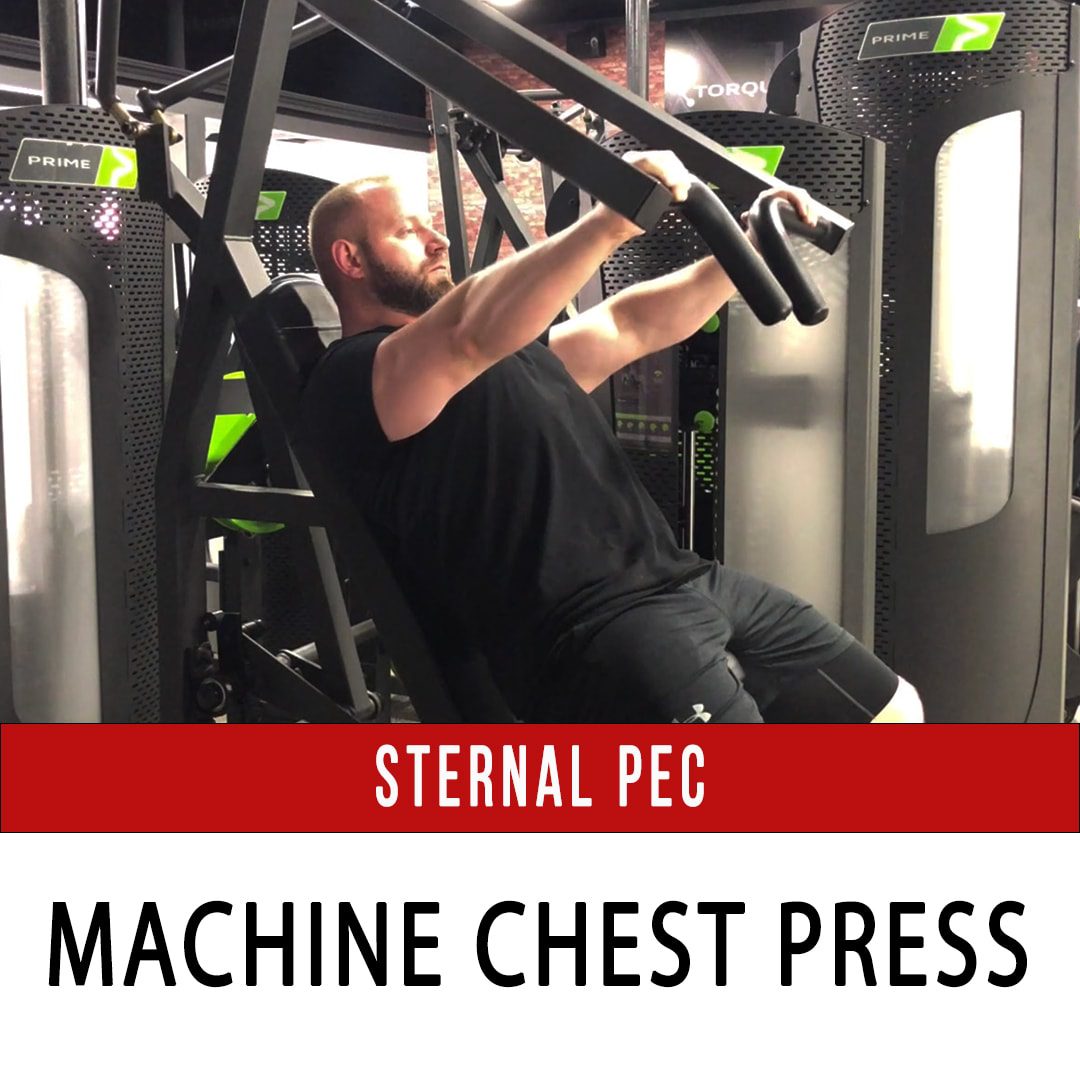 Hybrid Chest Press - N1 Training