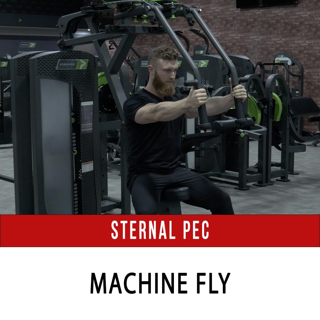 Pec Fly Machine - N1 Training