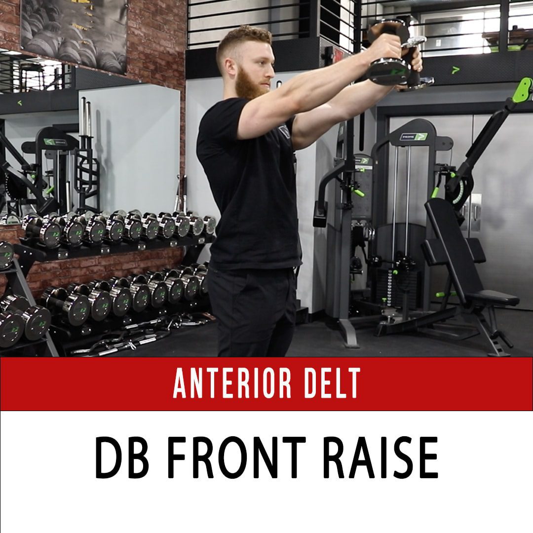 Anterior Delts Archives - Page 3 of 3 - N1 Training