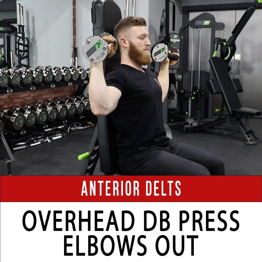 Anterior Delts Archives - Page 3 of 3 - N1 Training