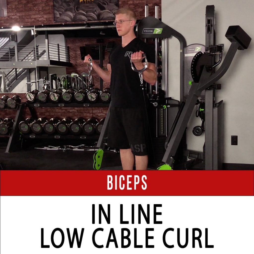 Elbow Flexors Archives - Page 5 of 5 - N1 Training