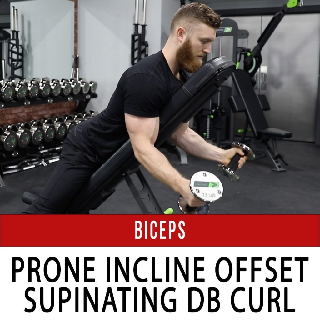 Brachialis Archives - Page 3 of 4 - N1 Training