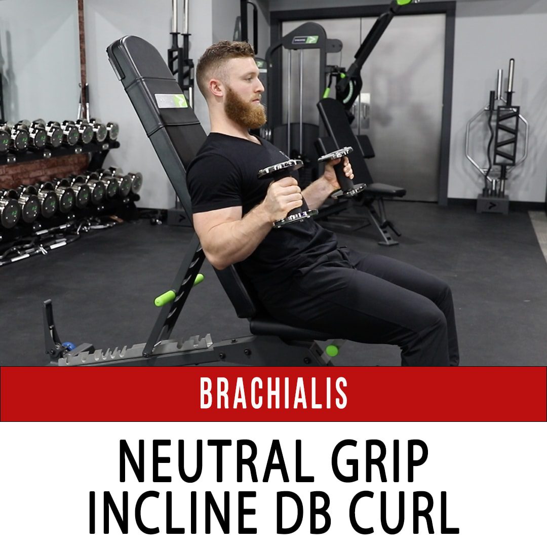 Biceps - N1 Training