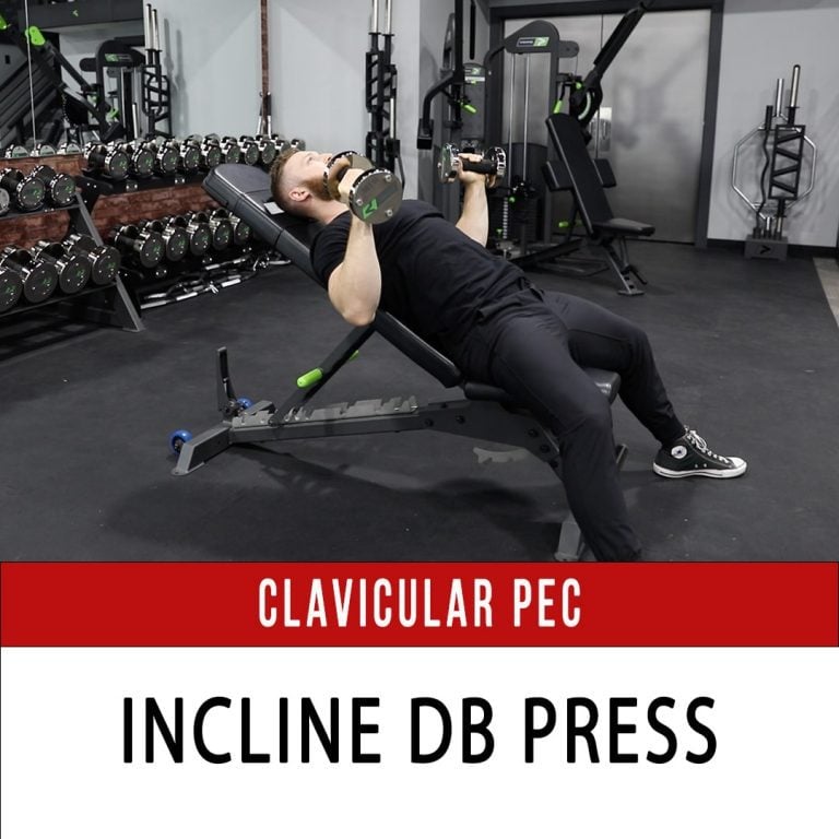Clavicular Pec Archives - Page 2 of 2 - N1 Training