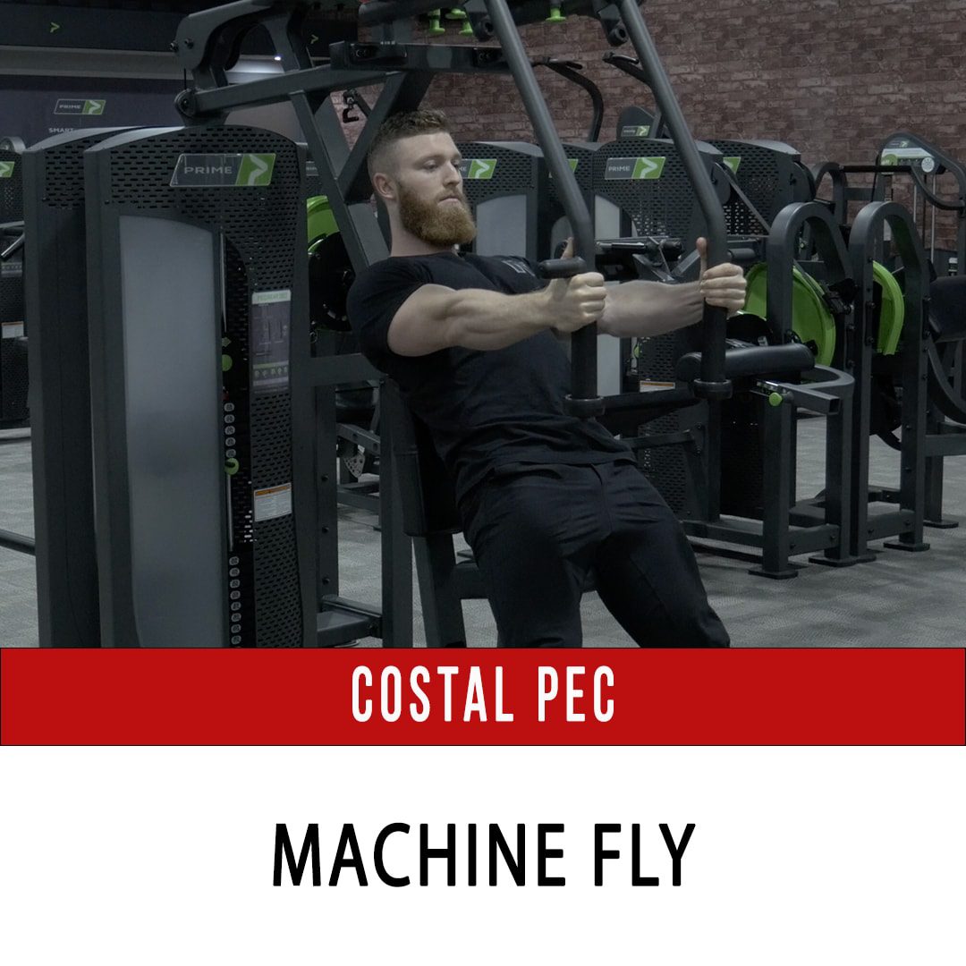 Pec Fly Machine - N1 Training