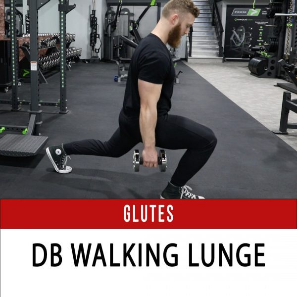 Lunges - N1 Training