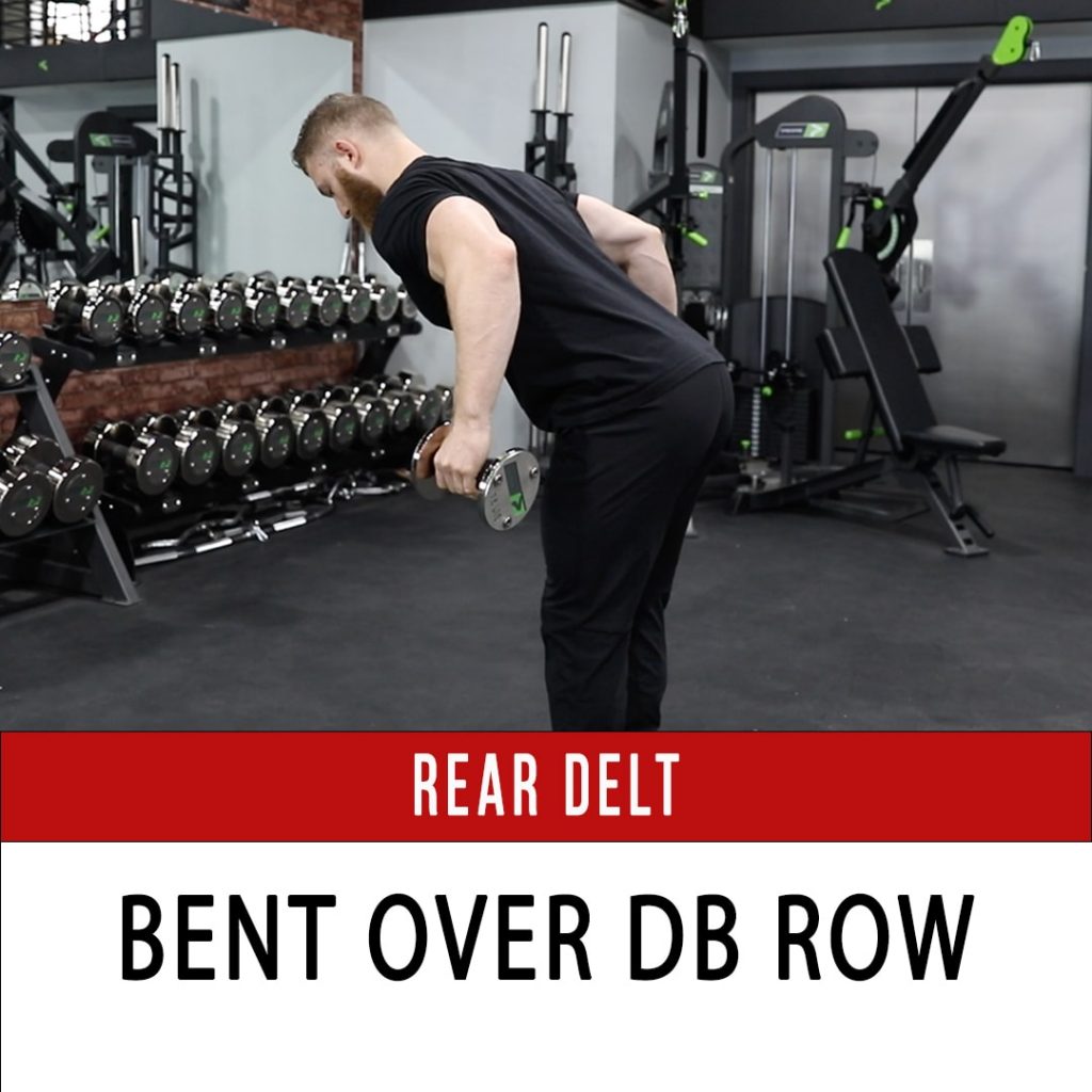 Delts Archives - Page 5 of 7 - N1 Training