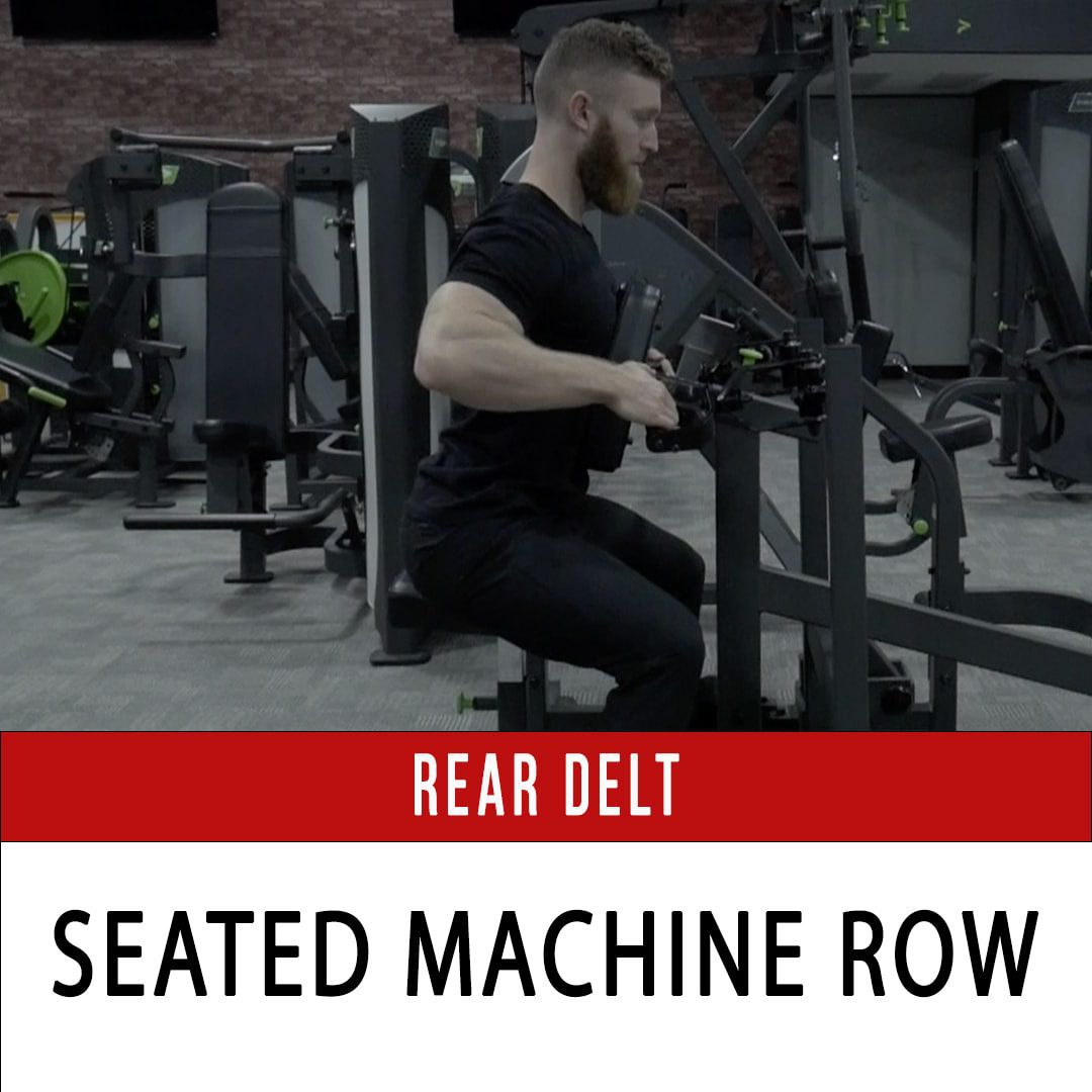 Prime Plate Loaded Seated Row Archives - N1 Training