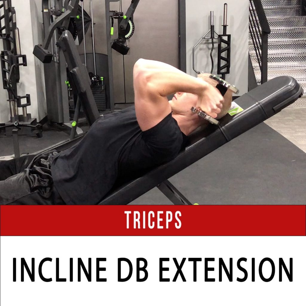 Triceps Archives - Page 2 of 3 - N1 Training