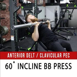 Clavicular Pec Archives - N1 Training