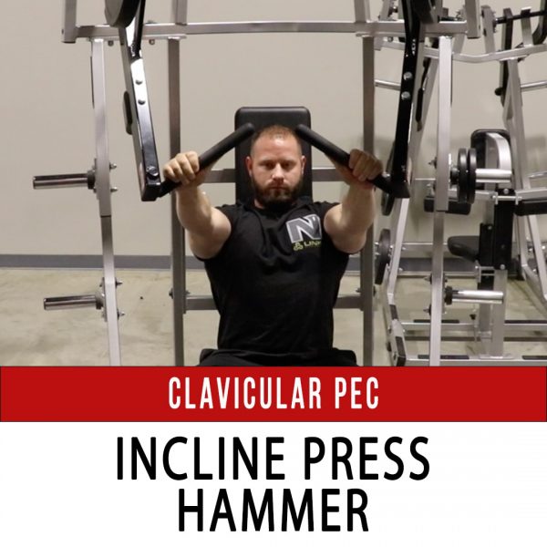 Clavicular Pec Archives - N1 Training