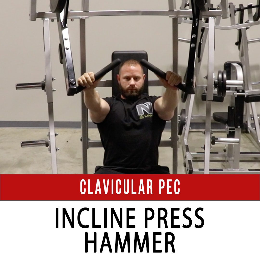 Clavicular Pec Archives - N1 Training