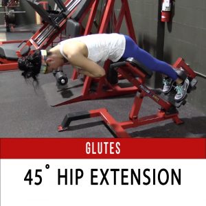 Hamstrings Archives - N1 Training