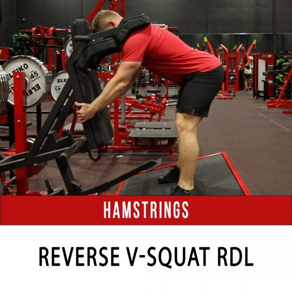 V Squat - Power Squat - N1 Training