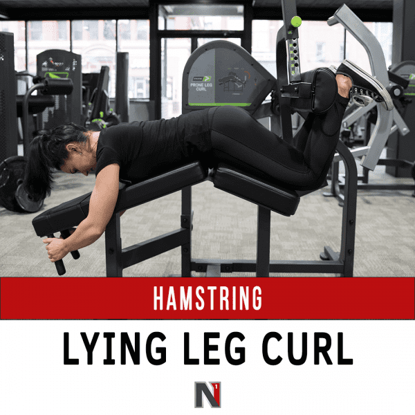 Evolution Lying Leg Curl Archives - N1 Training