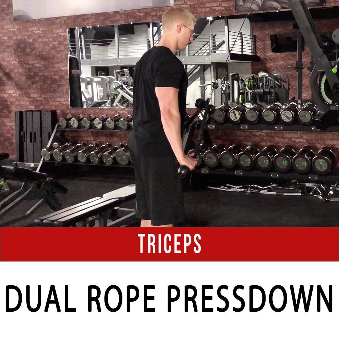 Triceps Archives - Page 2 of 3 - N1 Training