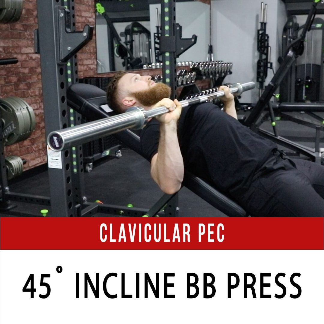 Clavicular Pec Archives - N1 Training