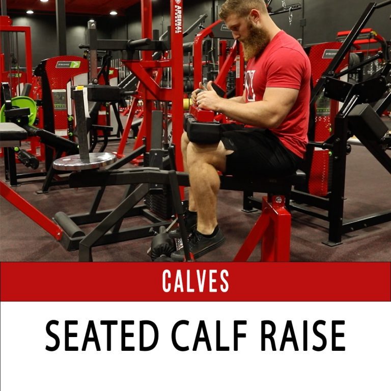 Seated Calf Machine - N1 Training