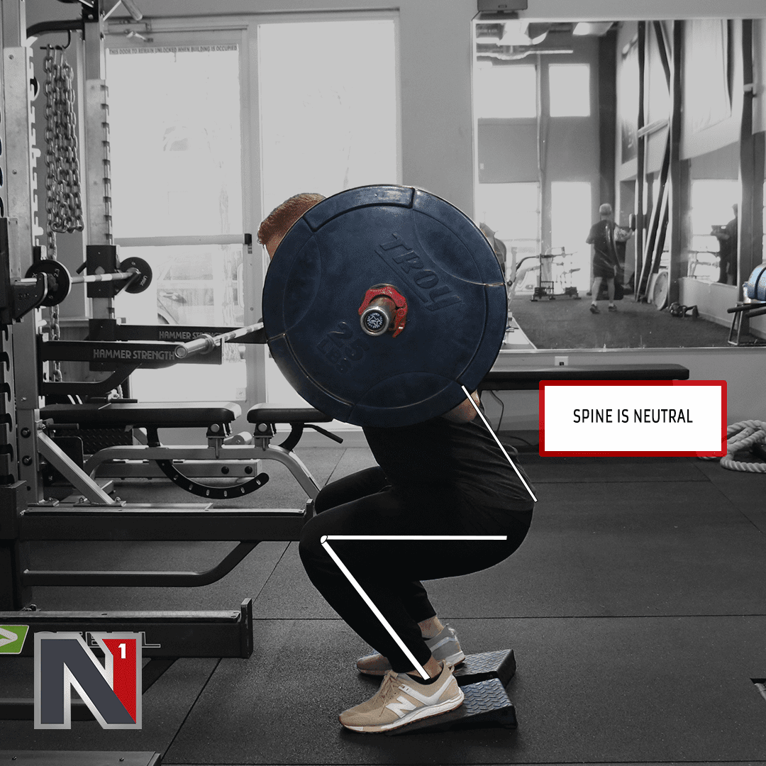 Full Range of Motion: Muscle vs Movement - N1 Training