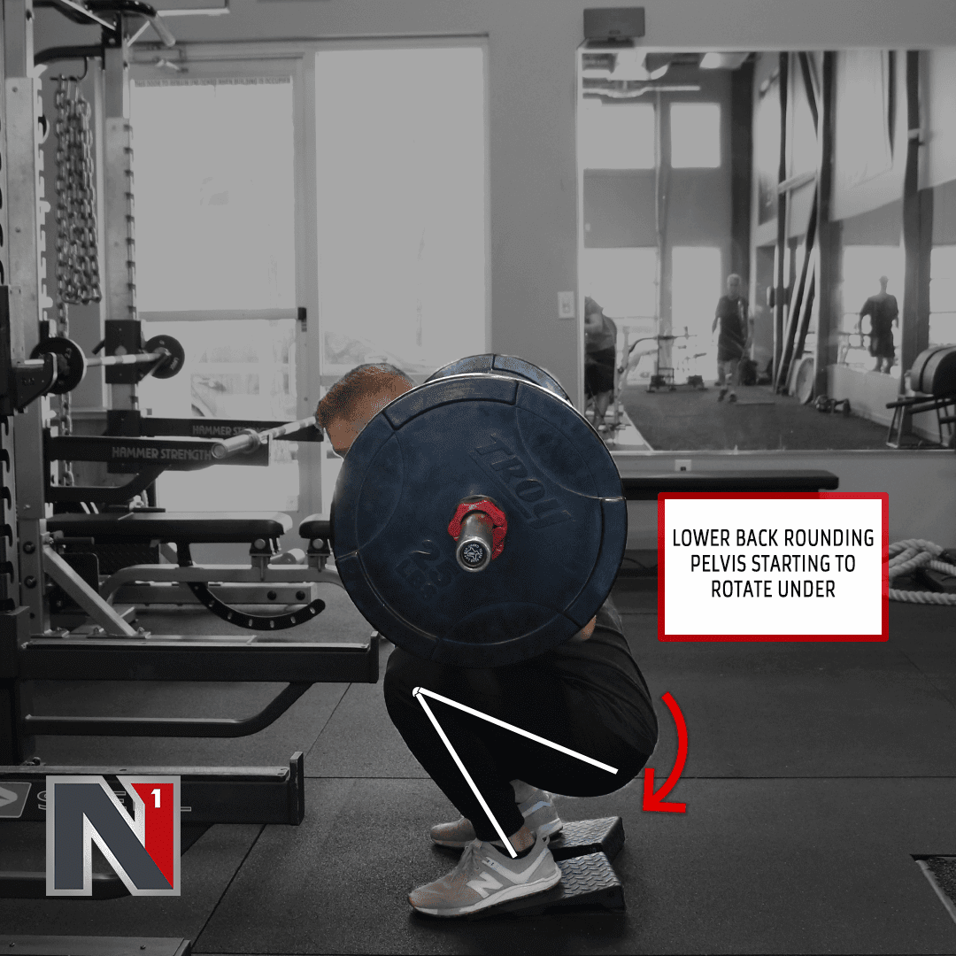 Full Range of Motion: Muscle vs Movement - N1 Training