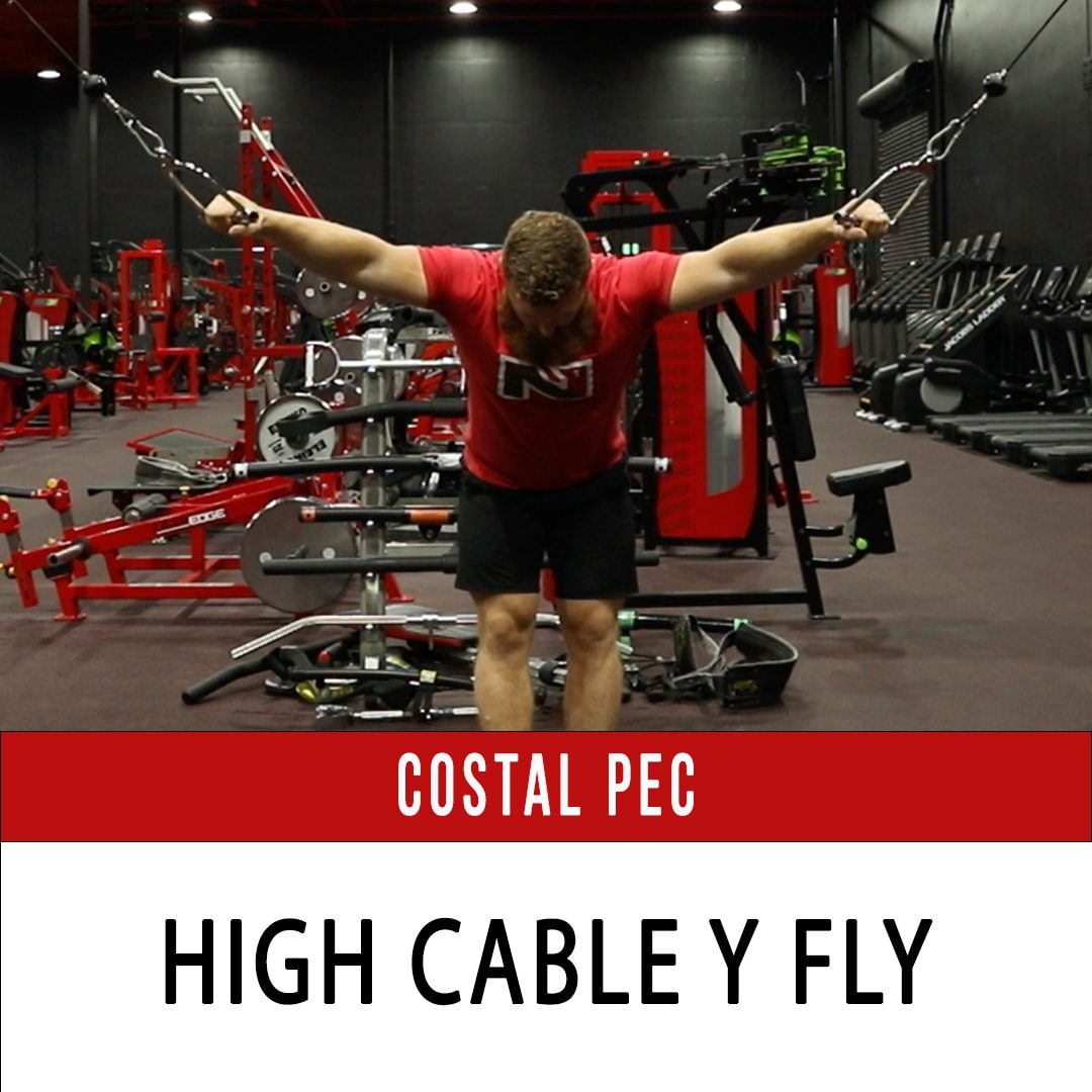 Costal Pec - N1 Training