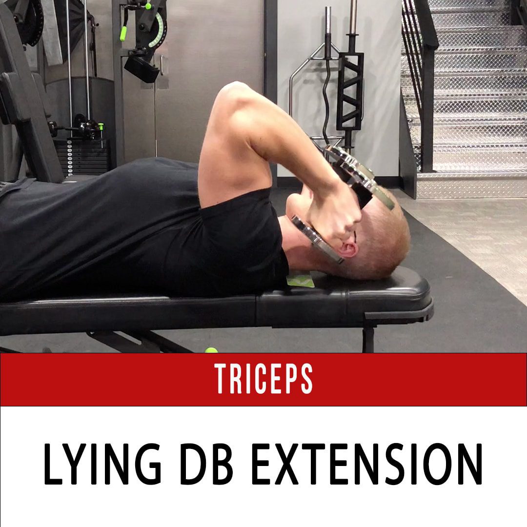 Triceps Archives - Page 2 of 3 - N1 Training