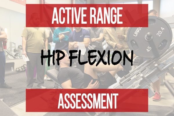 The 3 Main Types of Range of Motion - N1 Training