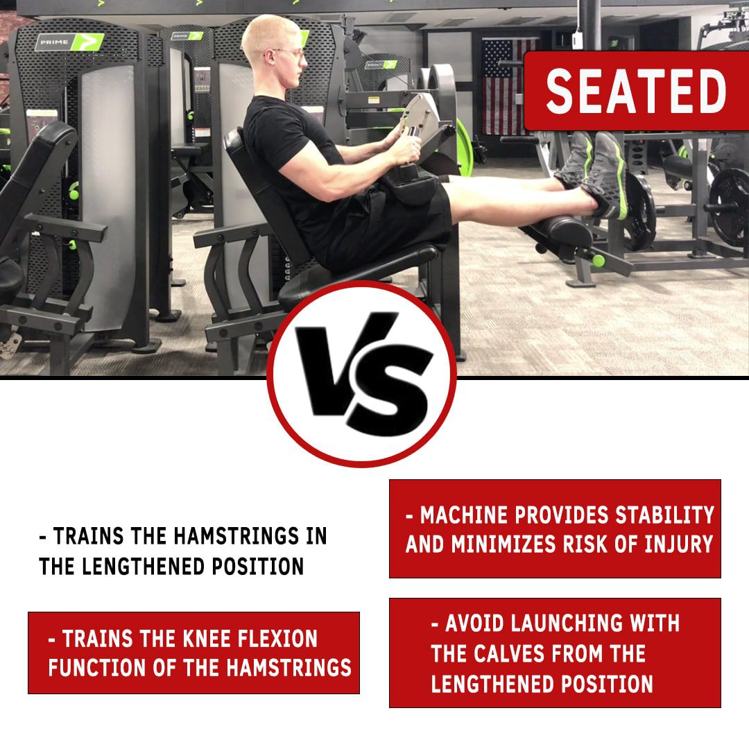 Seated Leg Curl vs RDL - N1 Training