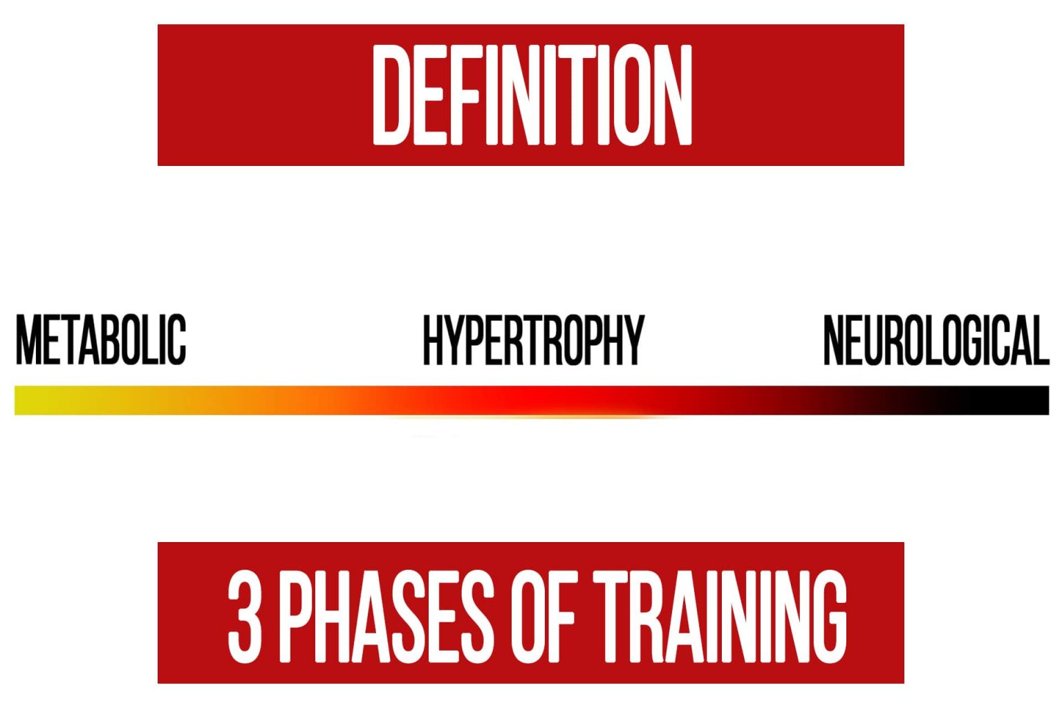 Intro to Training Periodization Part 1 - N1 Training
