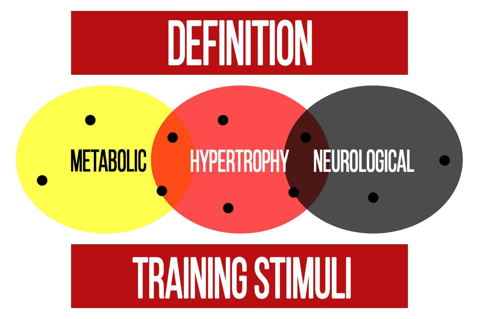 Muscle Damage & Hypertrophy - N1 Training