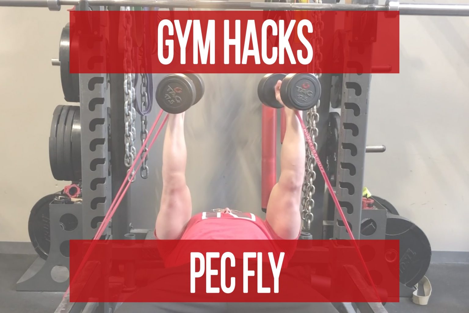 Gym Hacks: Leg Curl Calf Raise - N1 Training