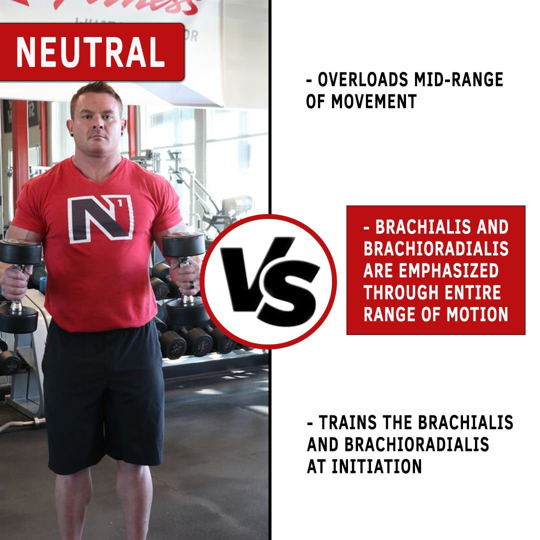 Hammer Curl VS Supinating Curl - N1 Training
