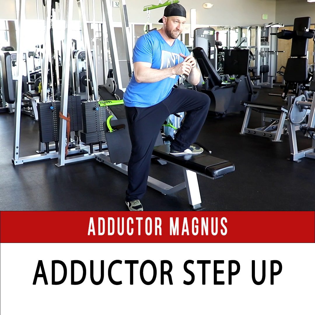Adductors (Hip) - N1 Training
