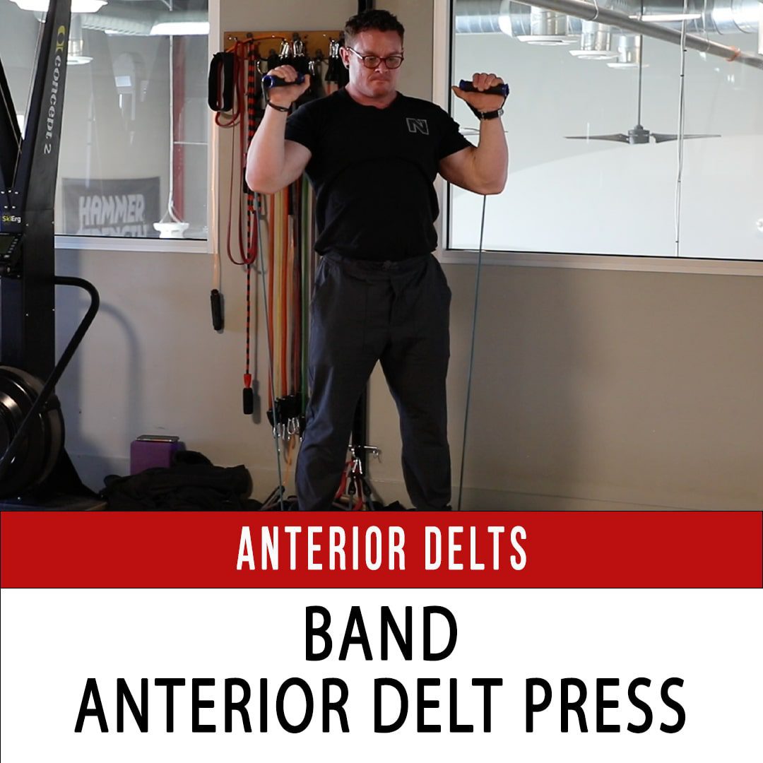 Anterior Delts - N1 Training