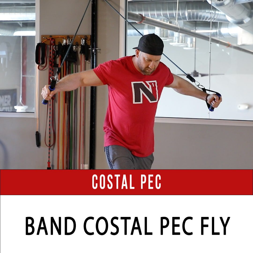 Costal Pec Archives - N1 Training