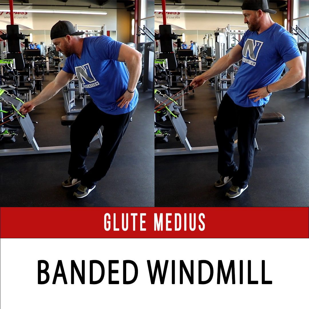 Gluteus Medius Archives - N1 Training
