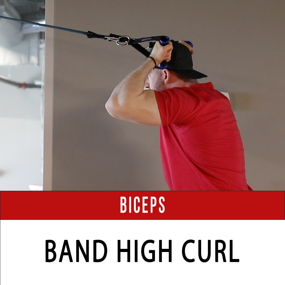 Biceps - N1 Training