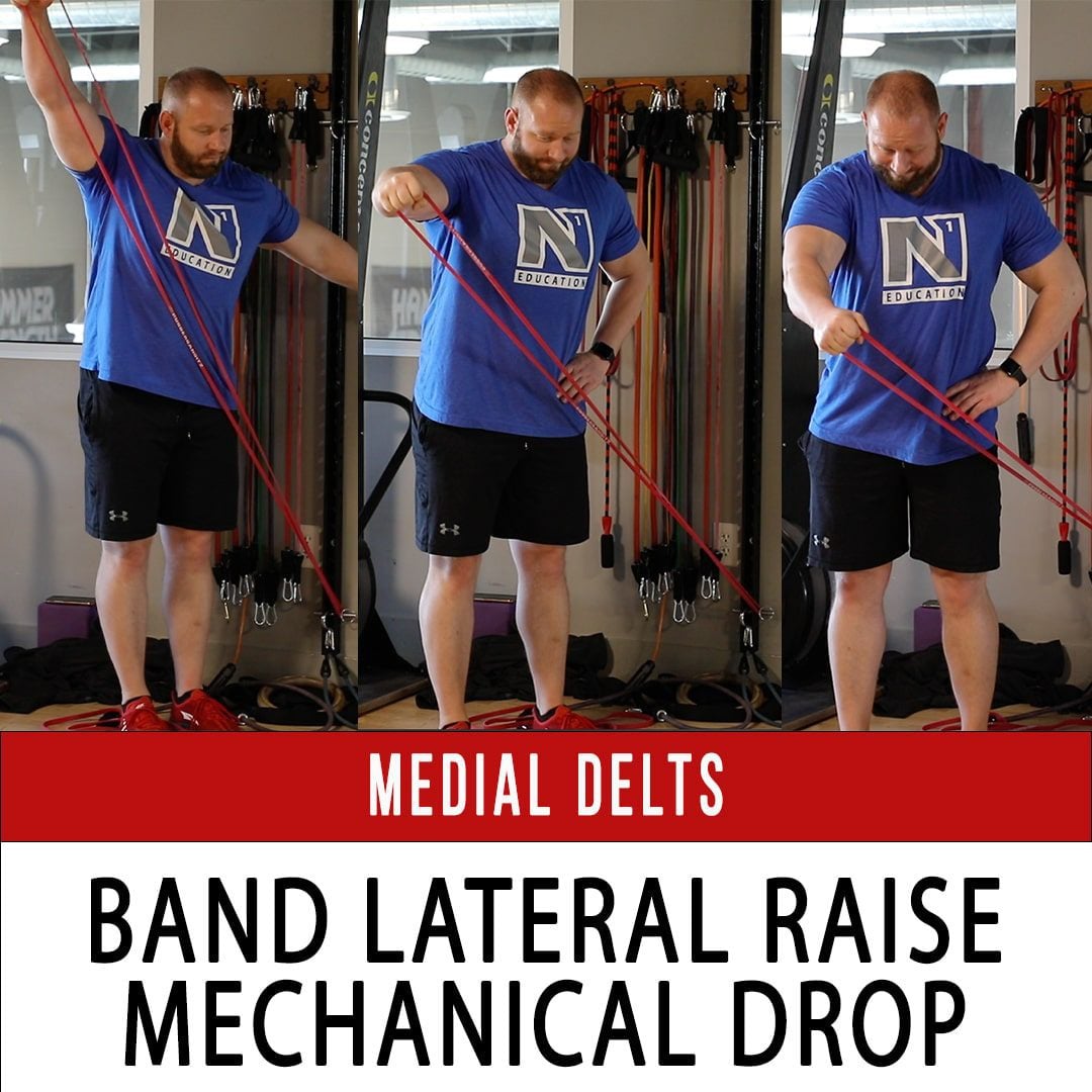 Middle Delts Archives - N1 Training