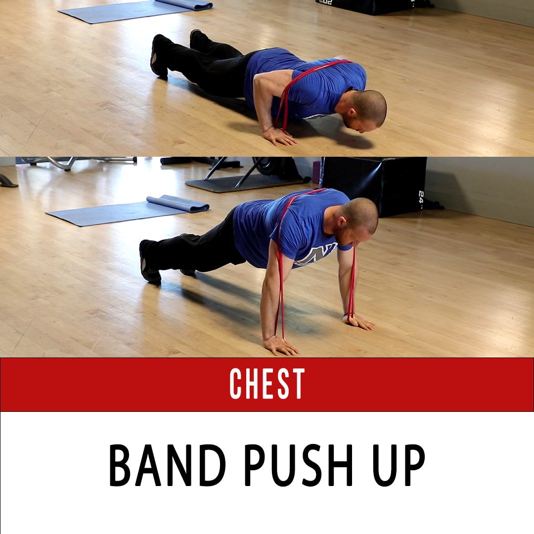 Anterior Delts - N1 Training