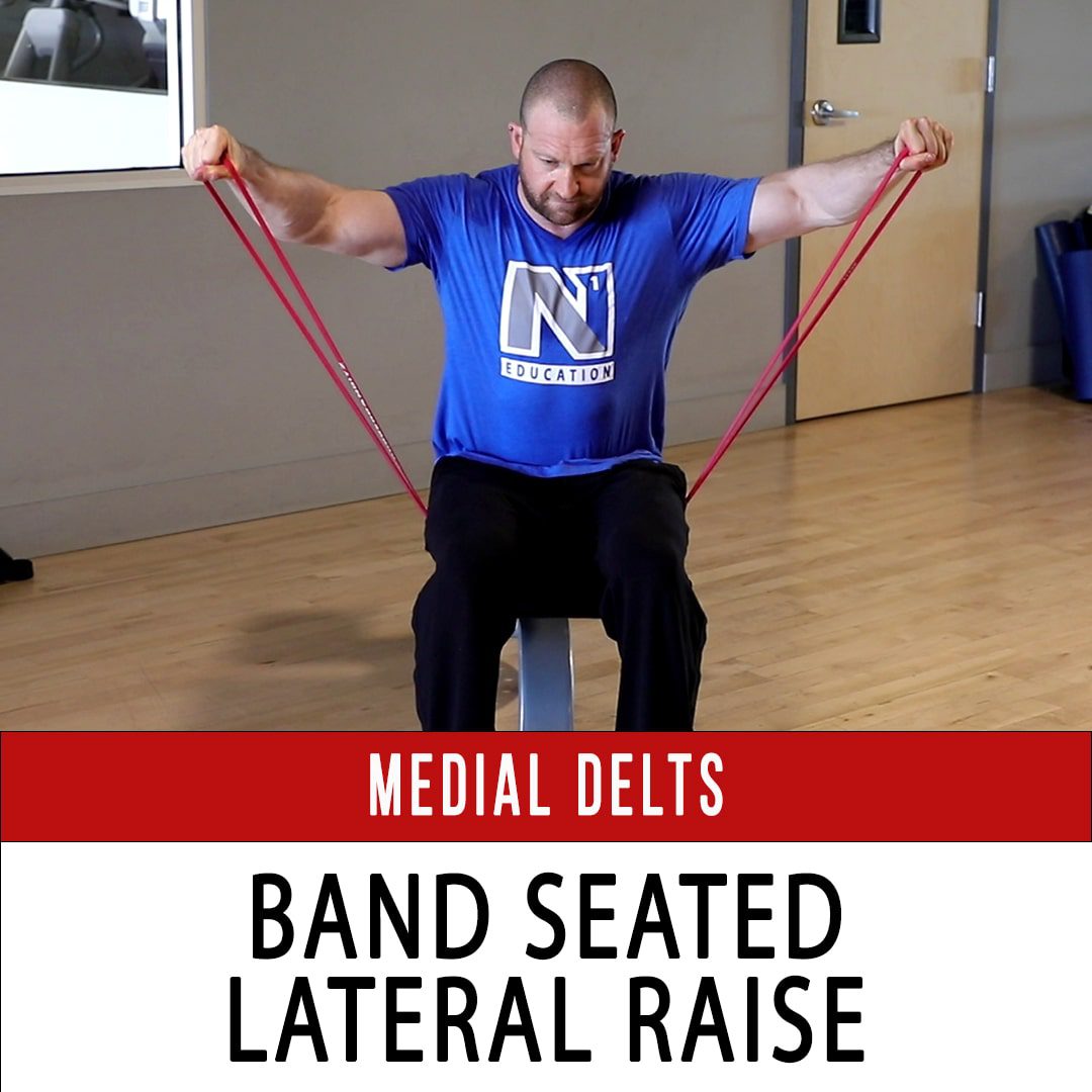 Middle Delts Archives - N1 Training