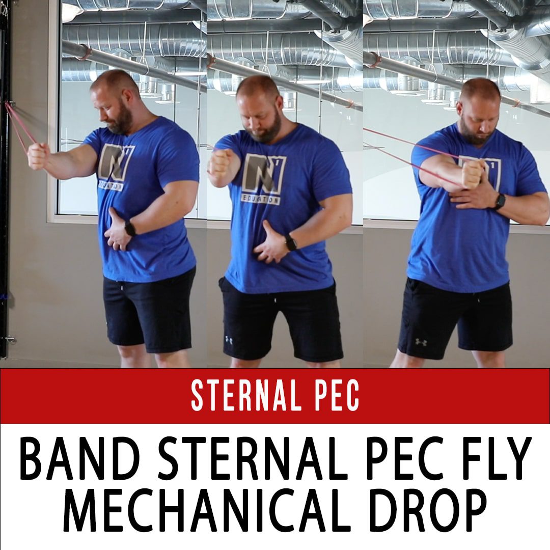 Chest (Pectoral) Archives - N1 Training