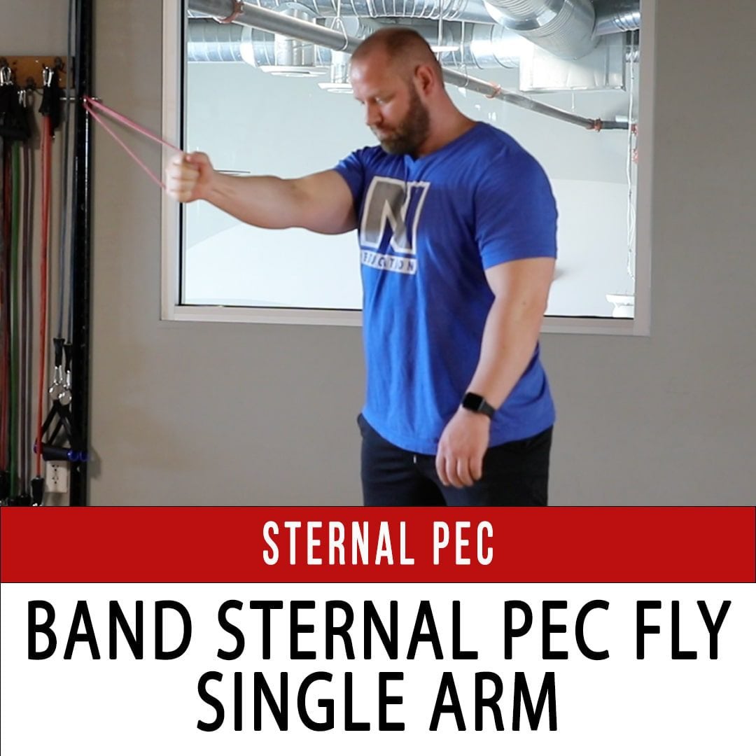 Chest (Pectoral) Archives - N1 Training