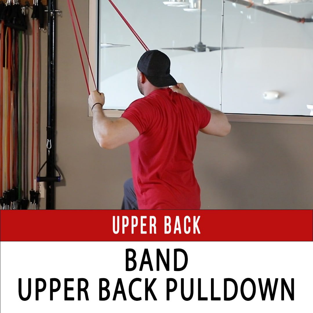 Trap 3 / Lower Trap Archives - N1 Training