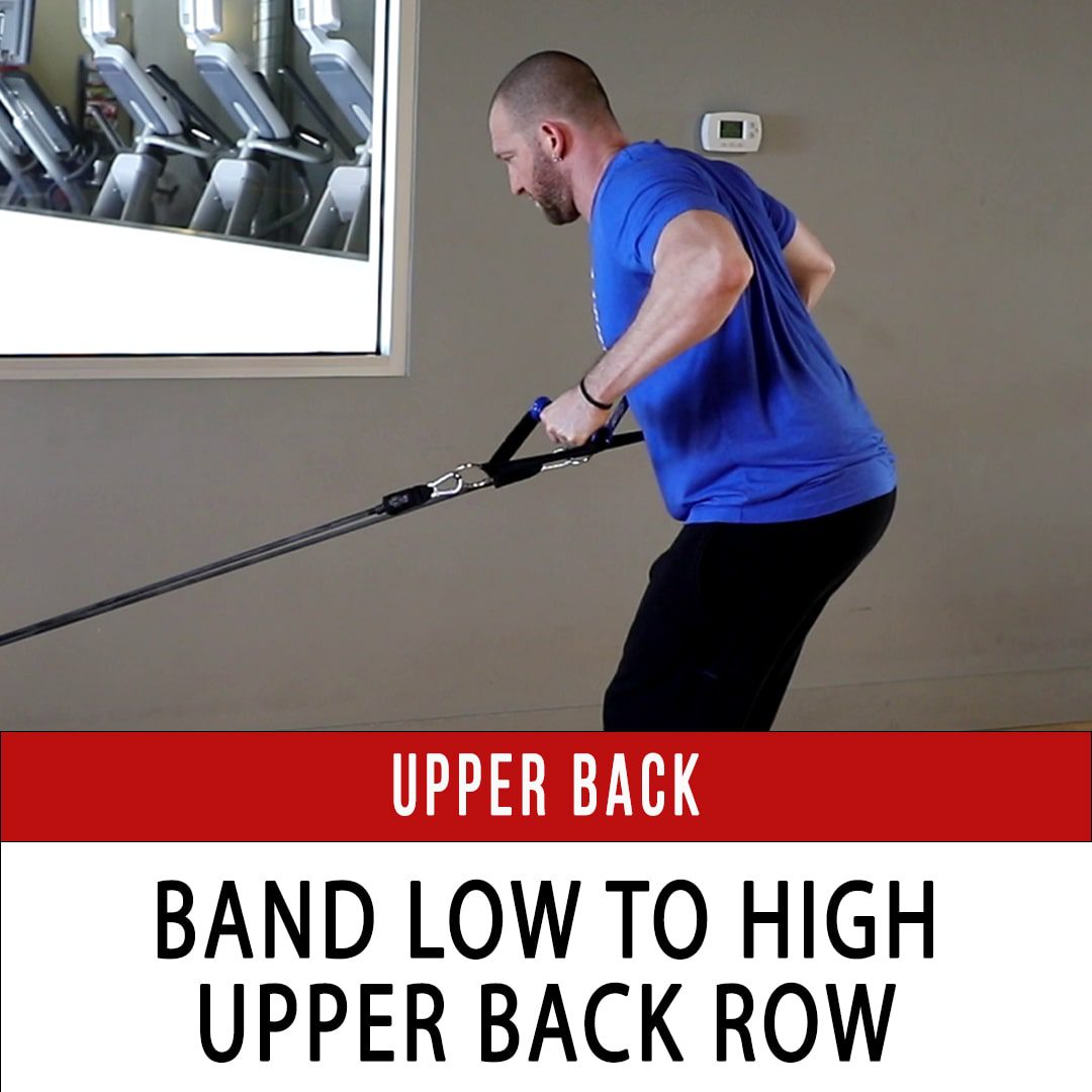 Rhomboid Archives - N1 Training