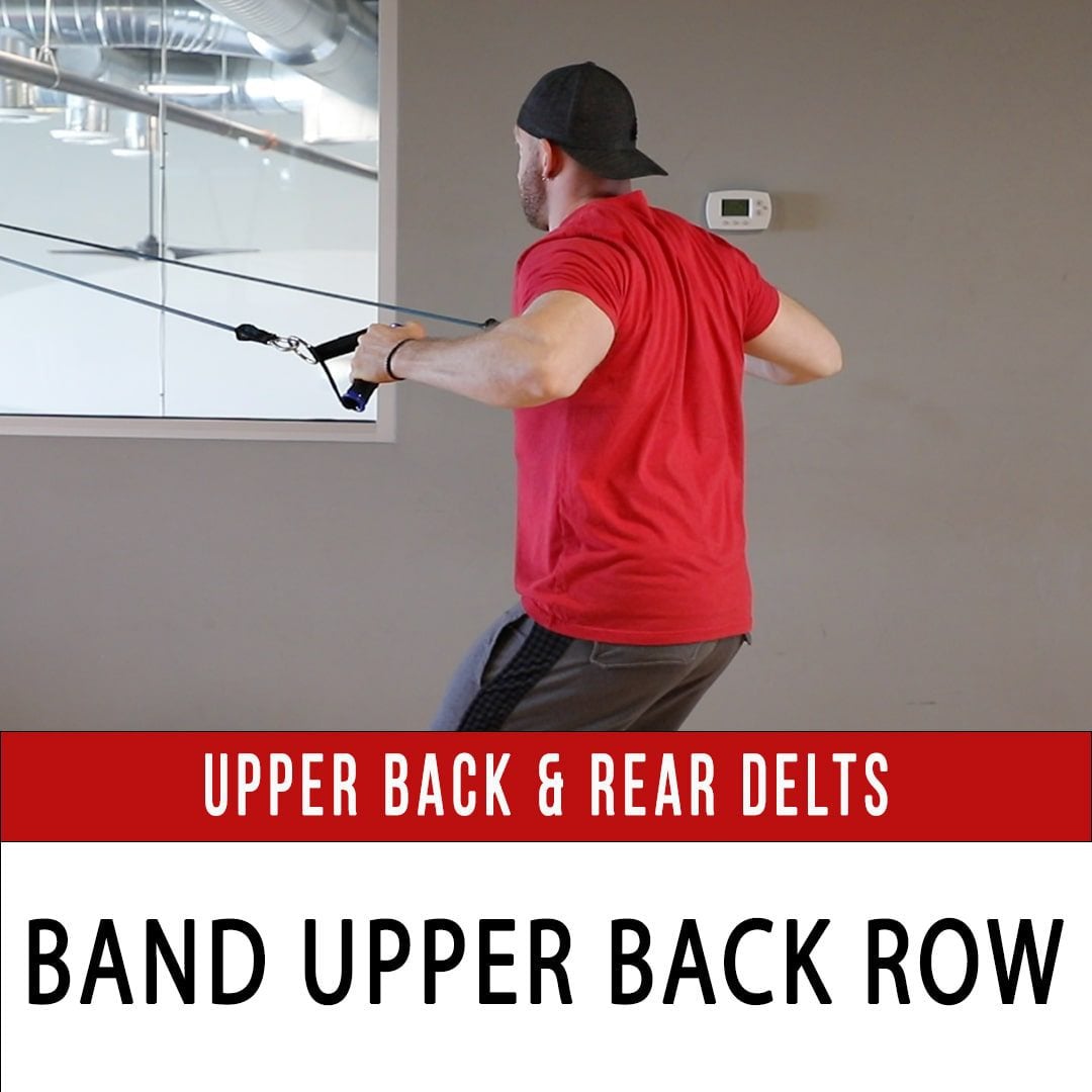 Posterior Delts Archives - N1 Training