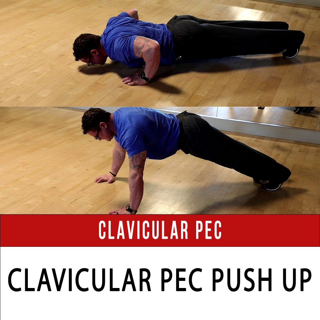 Clavicular Pec Archives - N1 Training