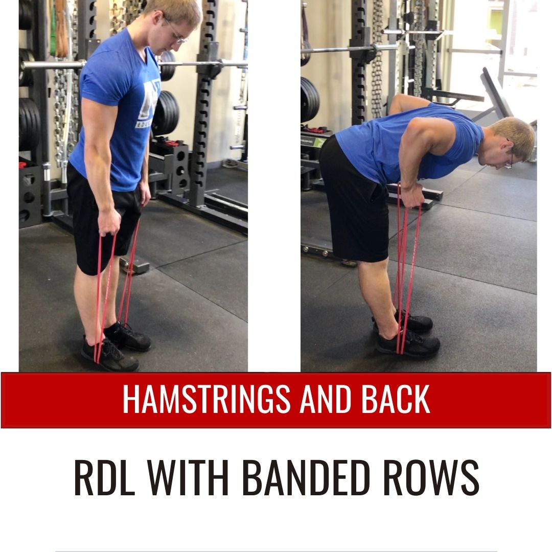 Gluteus Maximus Archives - N1 Training