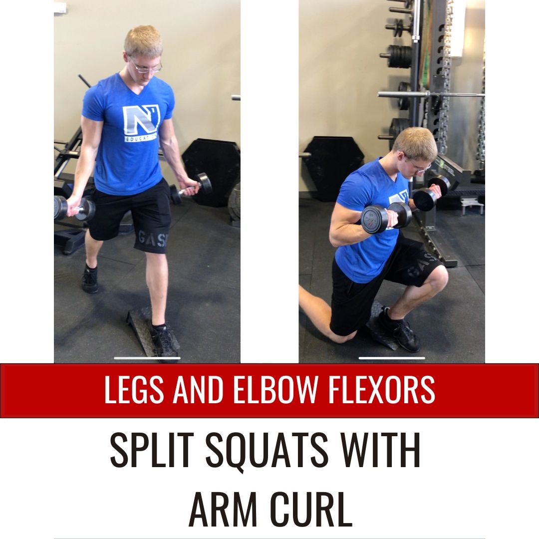 Quadriceps Archives - N1 Training