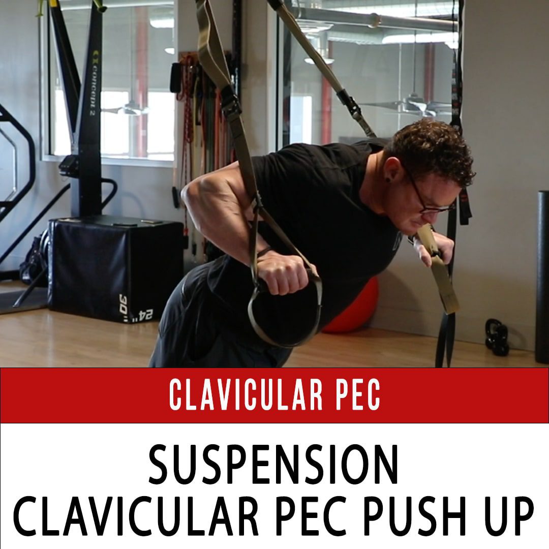Clavicular Pec Archives - N1 Training